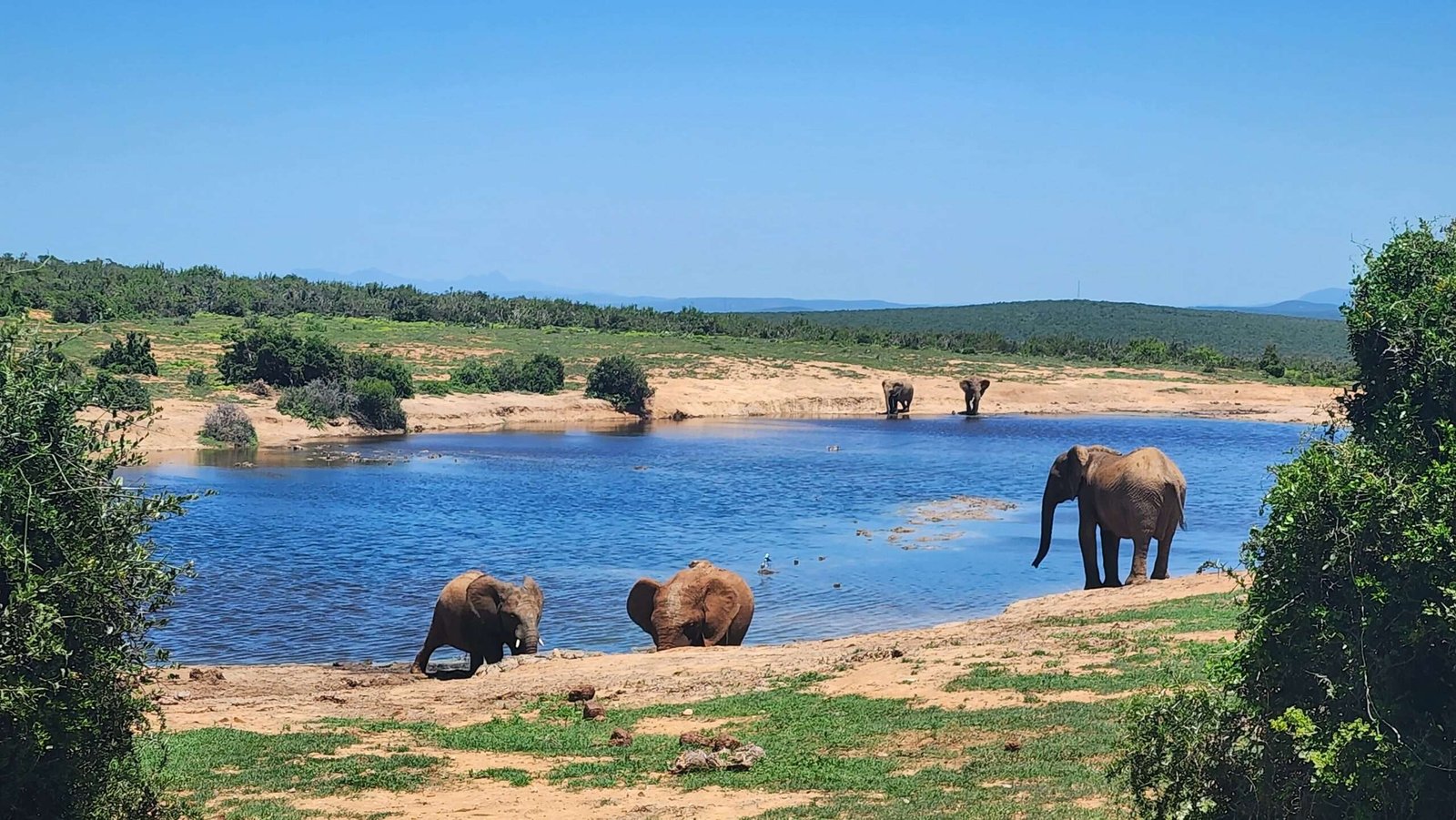 South Africa: A Tapestry of Natural Wonders - New Places To Go