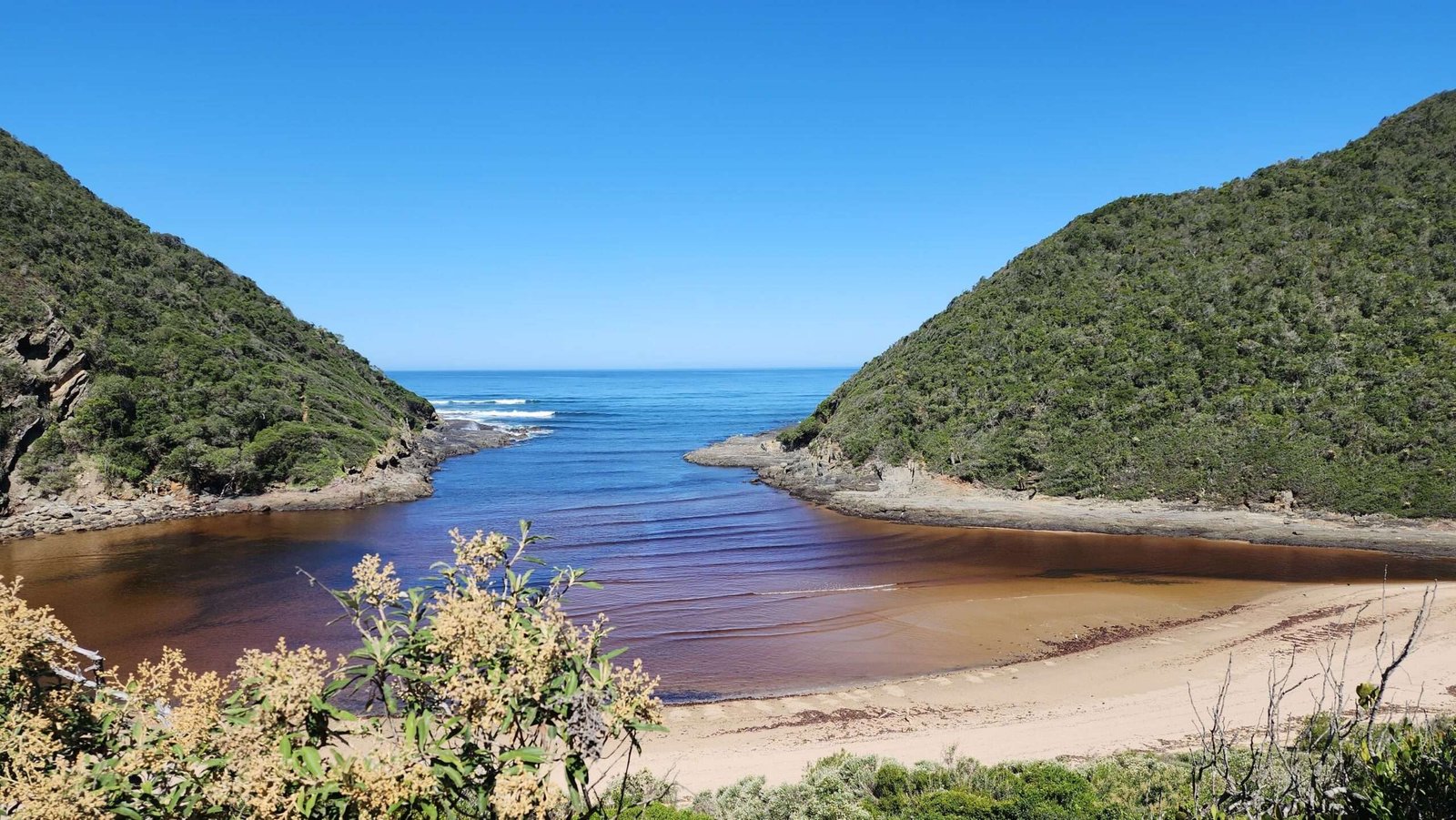 Salt River Beach Exploring Along The Salt River With Kids Phoenix