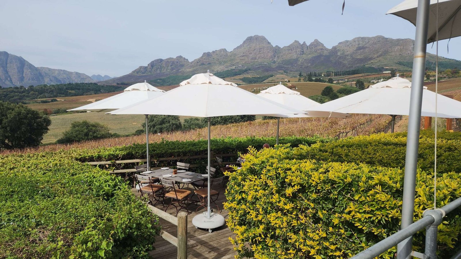 Guardian Peak: Where wine meets excellent food in Stellenbosch - New ...